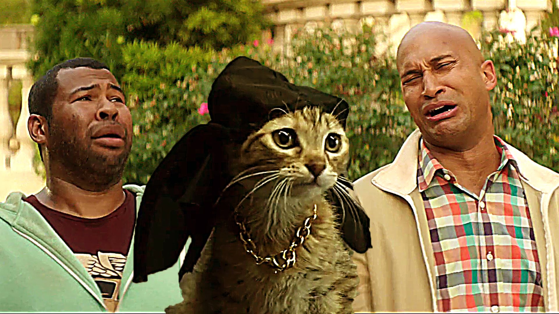 Which Iconic Movie Cat Are You? – Meow As Fluff