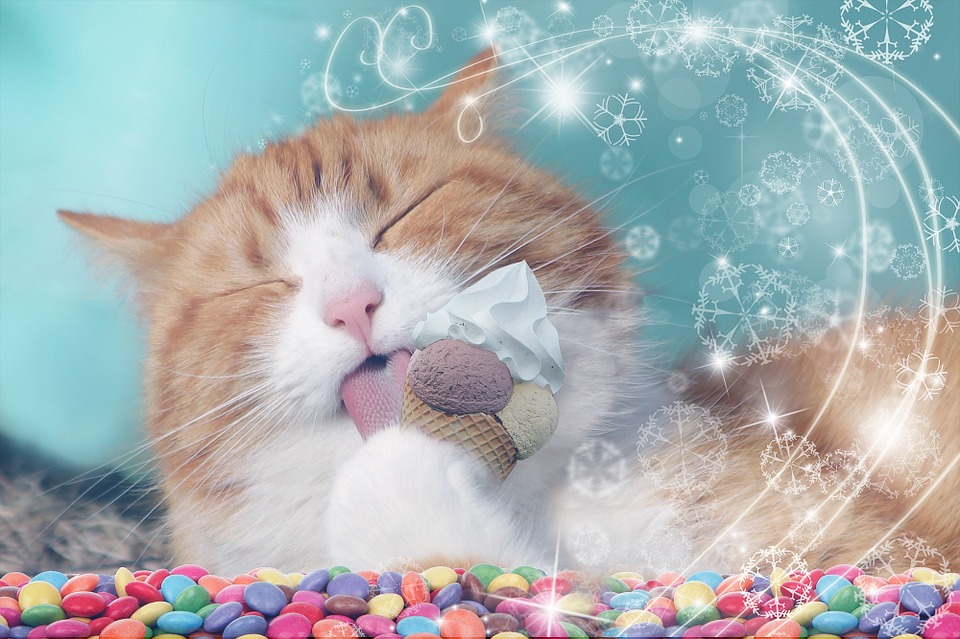 20+ Cats & Kittens Who Are Screaming For Ice Cream! – Meow As Fluff