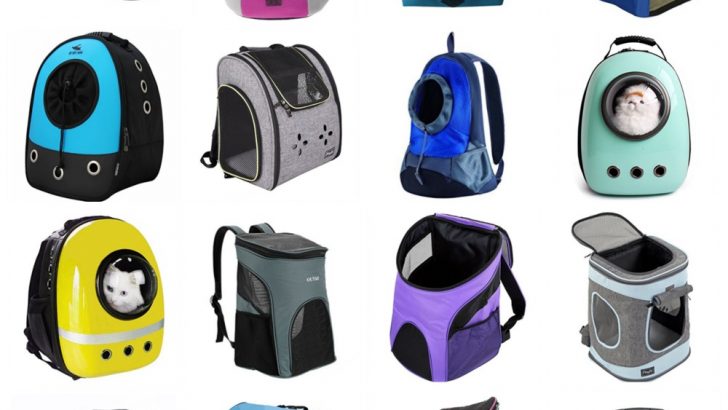 20+ Of The Coolest Cat Backpacks You Can Take To School! – Meow As Fluff