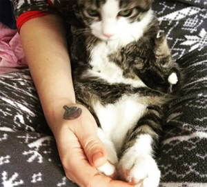 Meet The Adorable Two-legged Kitten Who Was Rescued From The Streets Of ...