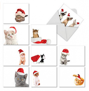 Fun And Festive Sets Of Kitty Christmas Cards For Cat Lovers! – Meow As ...