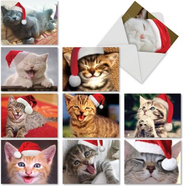 Festive And Fun Cat Christmas Cards! – Meow As Fluff