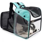 Backpack Cat Carriers You And Your Kitty Will Love! – Meow As Fluff