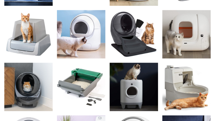 Handmade Kickers Your Kitty Will Love! – Meow As Fluff